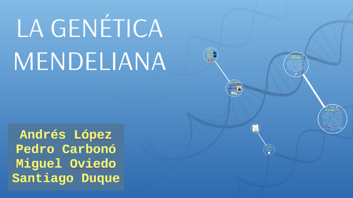 LA GENÉTICA MENDELIANA by SANTIAGO DUQUE on Prezi
