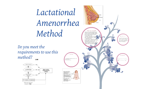 Lactational Amenorrhea Method by Ashley Madge on Prezi