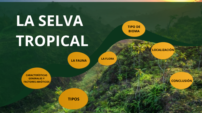 LAS SELVAS TROPICALES by georgiana mihoc on Prezi