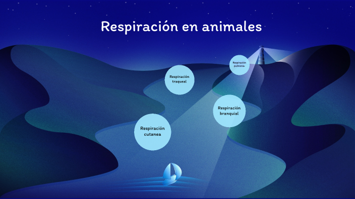 Respiración en animales by Xavier Quintero on Prezi