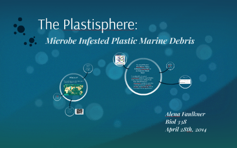 The Plastisphere by Alena Faulkner on Prezi