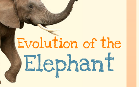 Evolution of Elephants by Isabella Fabrizio on Prezi