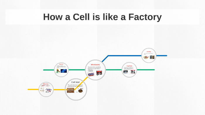 How a Cell is like a Factory by Dylan Goodburn on Prezi