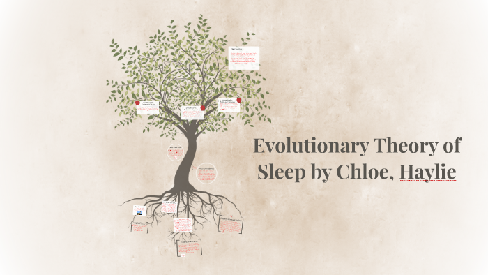 Evolutionary Theory of Sleep by Chloe Nicholls on Prezi