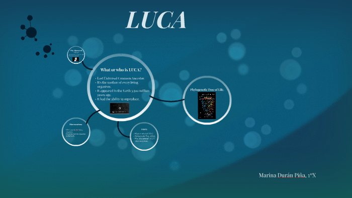 LUCA: Last Universal Common Ancestor. by Marina Durán Piña on Prezi