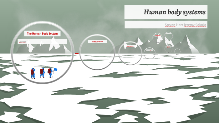 Human body systems by jeremy solorio on Prezi