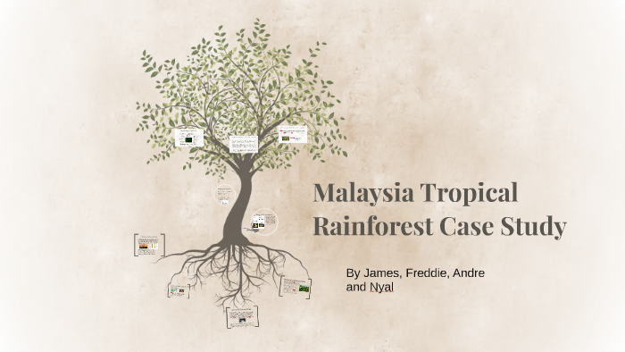Malaysia Tropical Rainforest Case Study by James Ruddell on Prezi