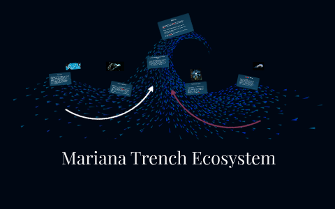 Mariana Trench Ecosystem by Amira Shamsa on Prezi