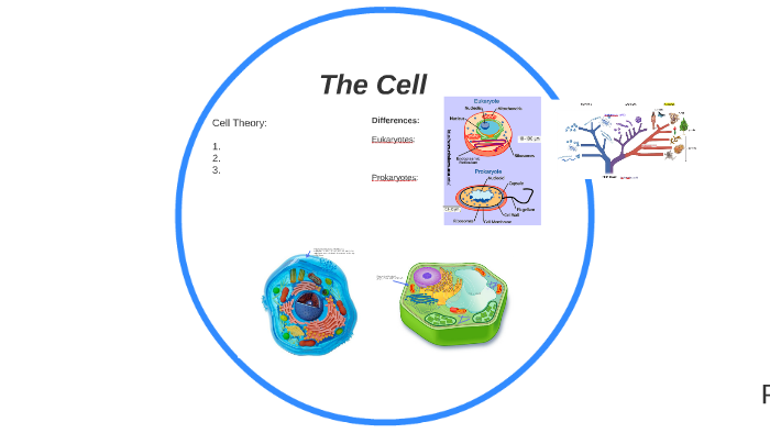 The Cell by Gerardo González on Prezi