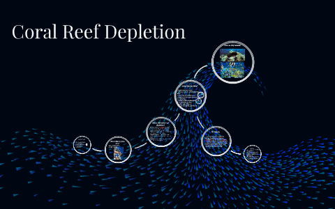 Coral Reef Depletion by Kristin Fischer
