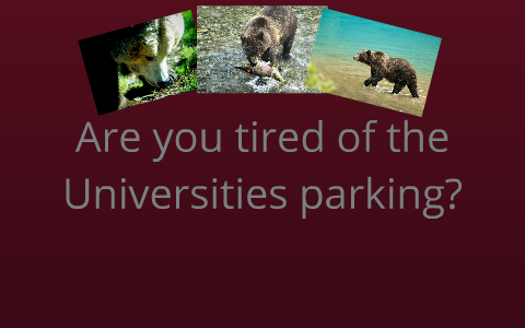 UM Parking Solution by Ashlee Jacobsen on Prezi