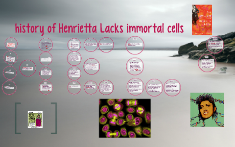 George Gay cultures the first immortal human cell line using by sarah ...