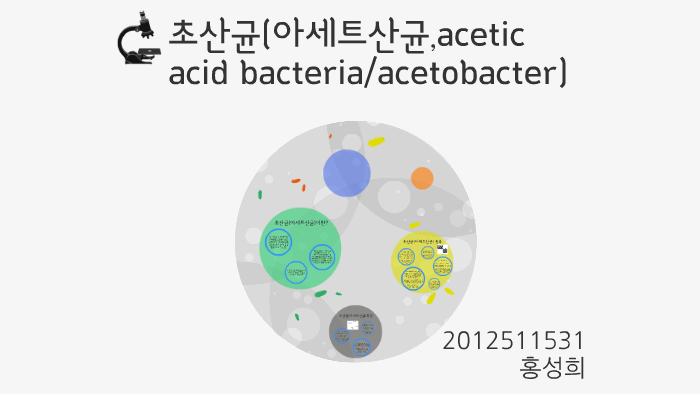 초산균(아세트산균,acetic acid bacteria/acetobacter) by hong seong on Prezi