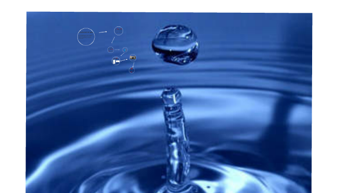 capilaridad del agua by equipo 8 on Prezi