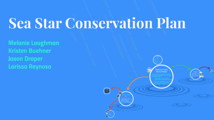 Sea Star Conservation Plan by on Prezi