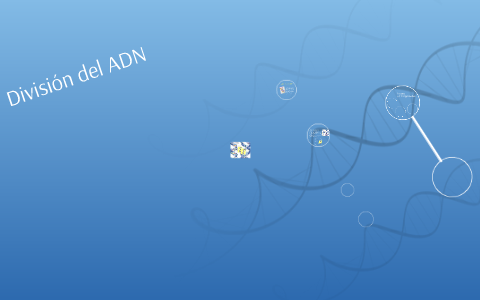 division del ADN by Yance Duran on Prezi