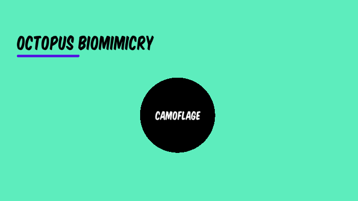 Octopus Biomimicry Applications by Melinda Brady on Prezi