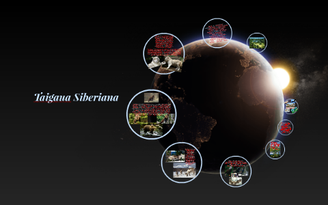 Taigaua Siberiana by bianca radu on Prezi