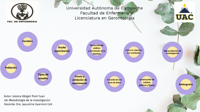 Metodologia by Jessica Poot on Prezi