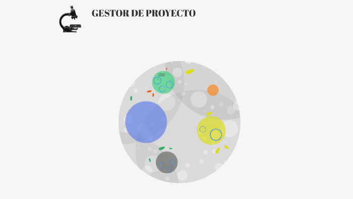 GESTOR DE PRYECTO by lucila Galvan Martinez on Prezi