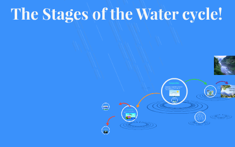 The Stages of the Water cycle! by escarlett hernandez on Prezi