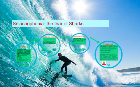 Selachophobia- the fear of Sharks by Taylor De Muri on Prezi