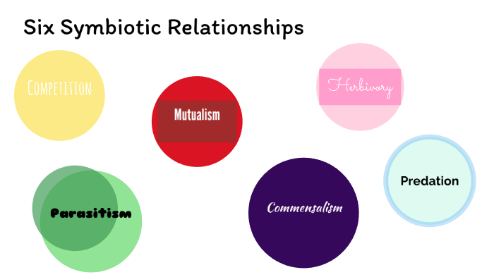 Six Symbiotic Relationships by Penelope Garcia on Prezi