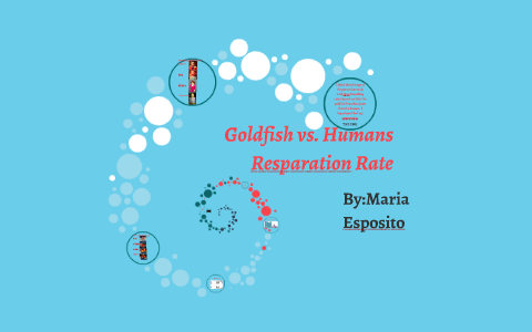 Hi! I did my Science Fair project on the respiration rate of by maria ...