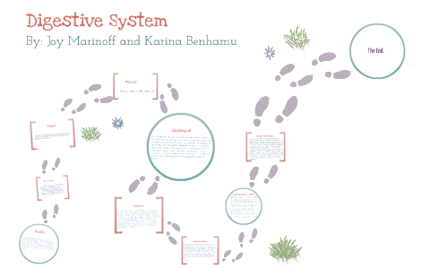 Anatomy and physiology of the Digestive System by Joy Marinoff on Prezi