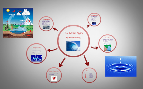 The Water Cycle by Brandon Polley on Prezi