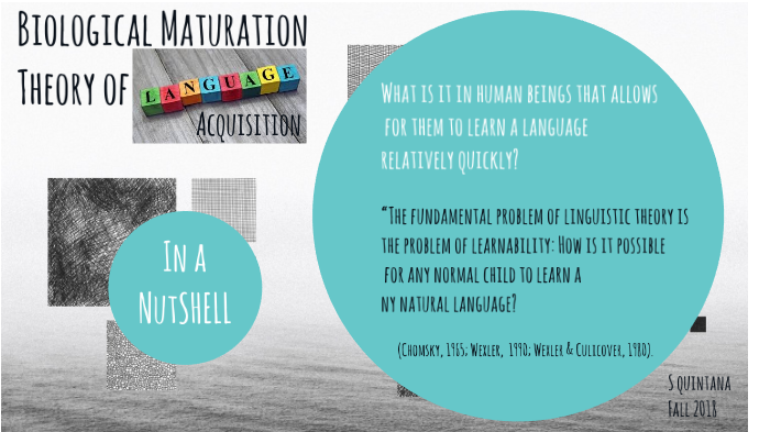 Bio Maturation Theory by Sarah Quintrana on Prezi