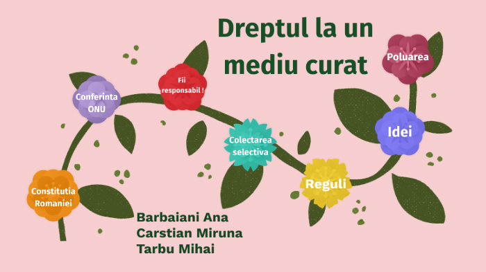 Dreptul la un mediu curat by Miruna Carstian on Prezi