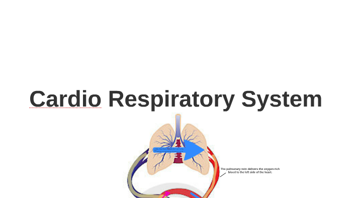Cardio Respiratory System by a person on Prezi