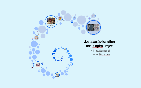 Isolation of Azotobacter by Niki Yazdani on Prezi