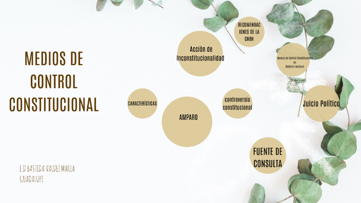 MEDIOS DE CONTROL CONSTITUCIONAL by Lupita Bastida on Prezi