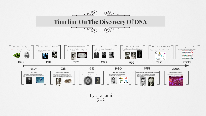 Timeline Of The Discovery Of DNA by Tanami Loftus on Prezi
