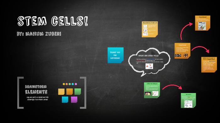 stem cells! by mahum is awsome on Prezi