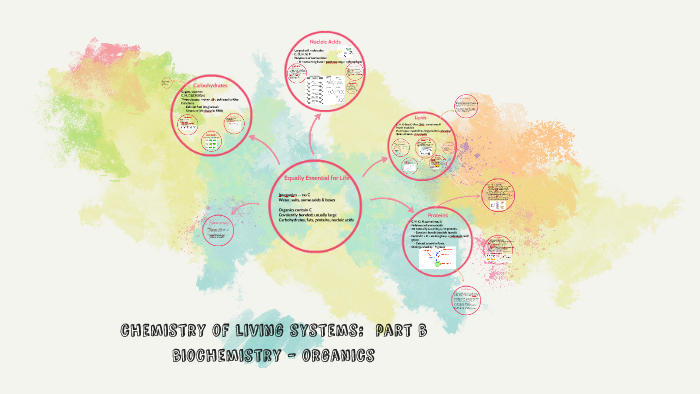 chemistry of living systems: part b by Anne Grippo
