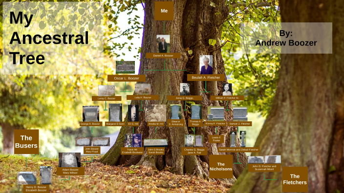 Family Tree by Andrew Boozer on Prezi