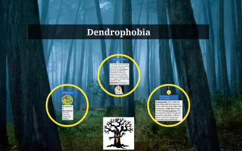 Dendrophobia by Dylan Ditore on Prezi