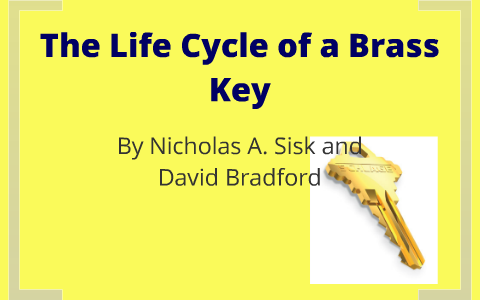 ENGINEERING LIFE CYCLE PROJECT by Nick Sisk