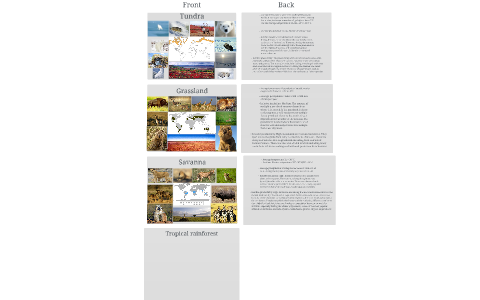 Terrestrial Biome Project by Thomas Nguyen on Prezi