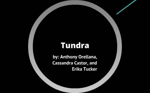 Tundra by Cassandra Castor on Prezi