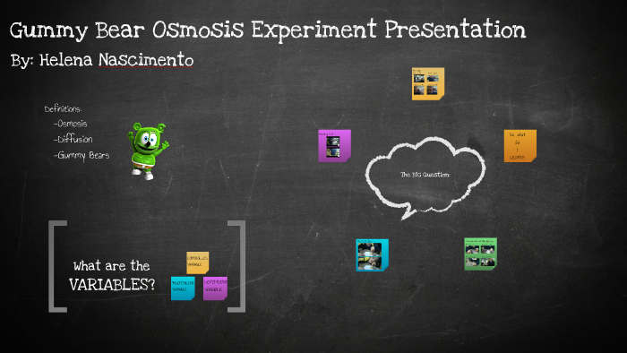 Gummy Bear Osmosis Experiment Presentation by Helena Nascimento on Prezi