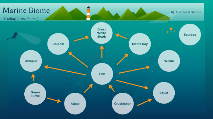 Marine Biome (Finding Nemo Biome) by heather winne on Prezi