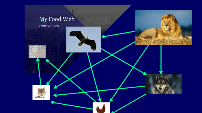 My Food Web by Andy Nguyen on Prezi