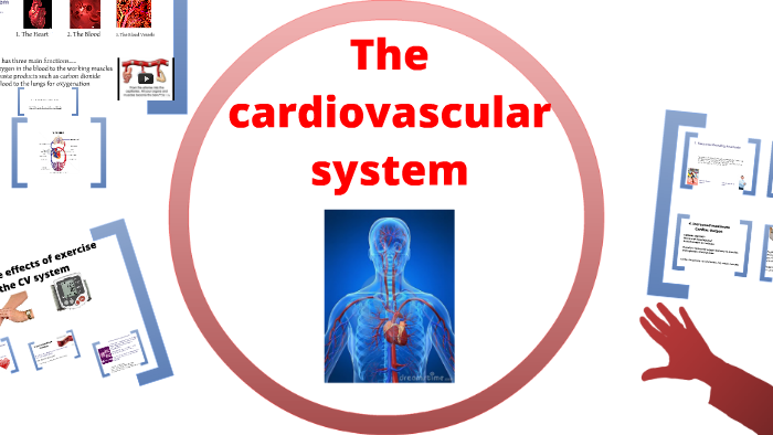 1.2.2 The Cardiovascular system during exercise by Patricia Groves on Prezi