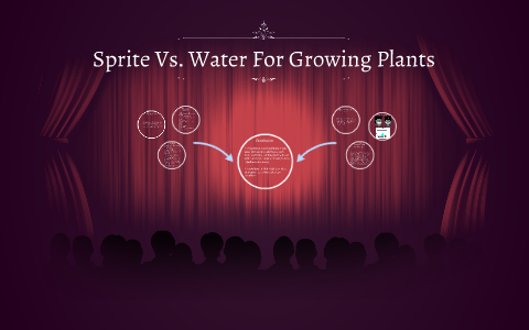 Sprite Vs. Water For Growing Plants by Lund A on Prezi
