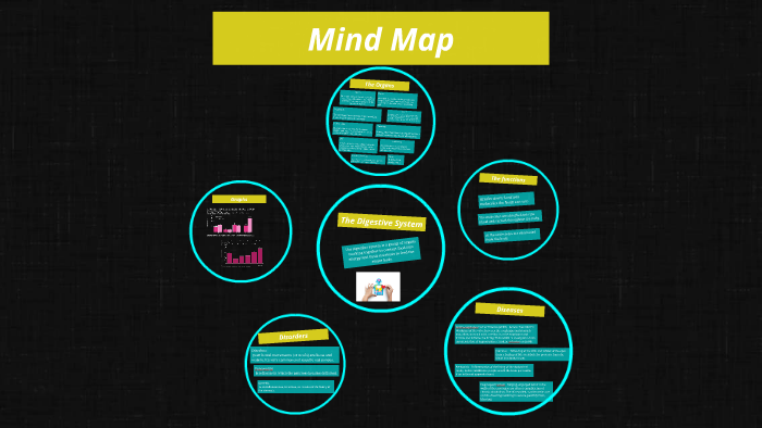 Digestive system Mind map by monica gonzalez garces