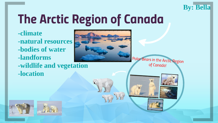 The Arctic Region of Canada by Bella Bouliane on Prezi